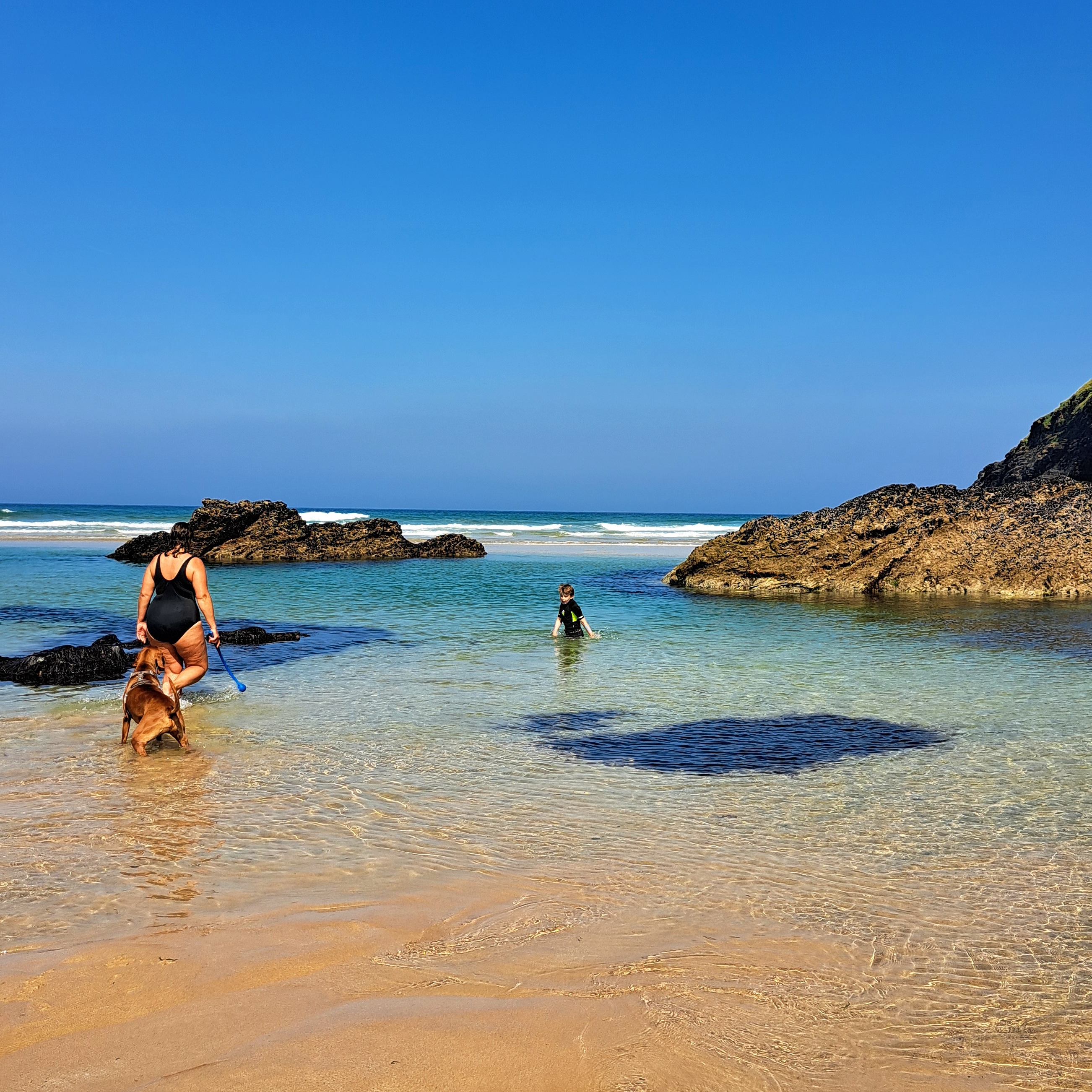 Wild Sea Swims - Higher Pendeen Camping